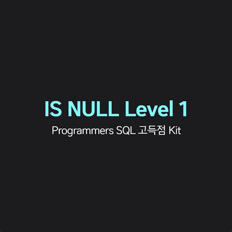 Programmersmysql Is Null Lv1 전체 문제 풀이 — 사은이의 It기록