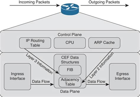 1 1 B I RIB FIB LFIB Adjacency Table Anthony Sequeira S Blog Home