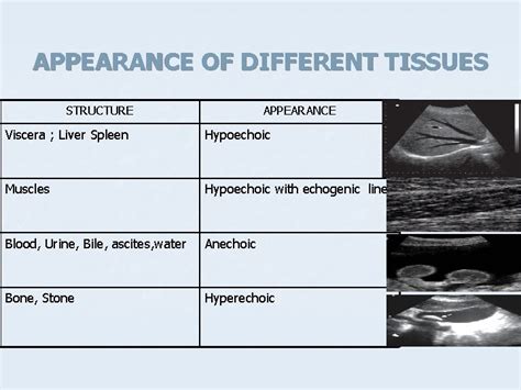 Introduction To Medical Ultrasonography Basic Introduction To Ultrasound