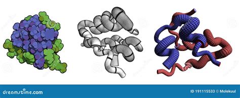 Insulin Peptide Hormone Molecule Used In Treatment Of Diabetes Cartoon Representation