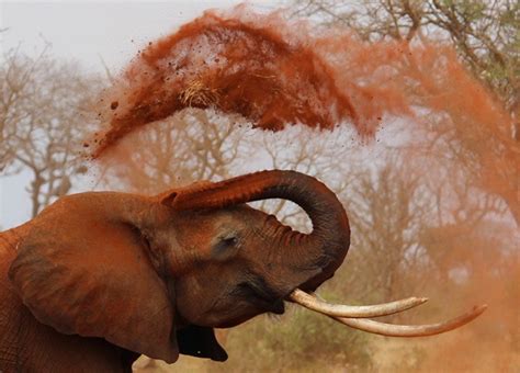 Writing Postgresql Extensions Is Fun C Language