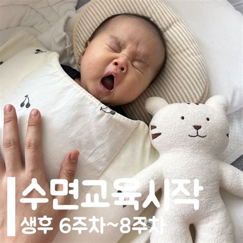 생후 6주 수면교육 시작 50일 아기 수면시간 네이버 블로그