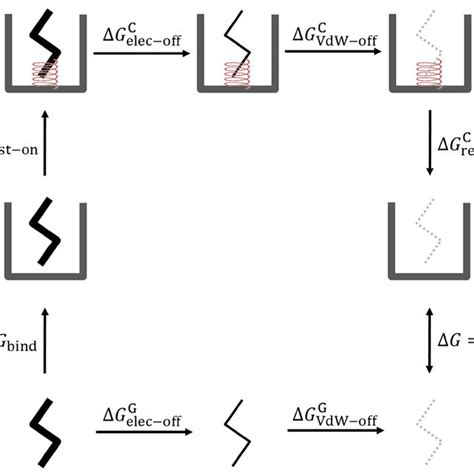 Scheme Of Free Energy Calculation Using Umbrella Sampling Method The