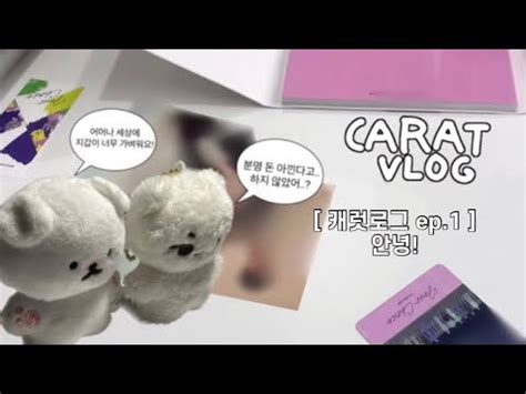 캐럿로그 ep 내일이면 우지 생일인데 근데 월초 영상 월 초 영상을 지금 올리는 캐럿이 있다 그게 나야 유얼초이스 앨범깡 뾰냥이 입양