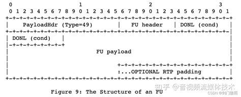 Rtp协议封装h264h265aac 知乎