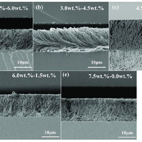 Sem Micrographs Of Carboxyl Pslc Devices With A Polymer Concentration Download Scientific