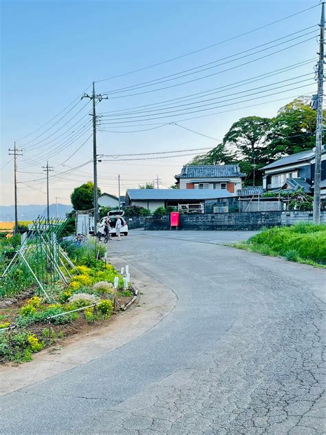 🎏🌾🛣🌾 ชนบทญี่ปุ่น 🌾🛣🌾🇯🇵 セイand ดอกไม้กับชนบทญี่ปุ่น