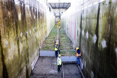 Ut Scientists Test Living Dikes In ‘the First Experiment Of Its Kind