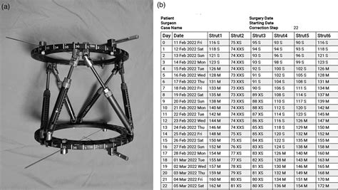 Journal Of Pediatric Orthopaedics B