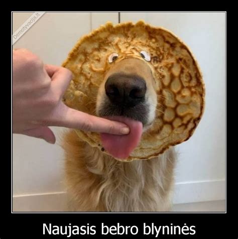 Naujasis Bebro Blyninės Demotyvacija Lt