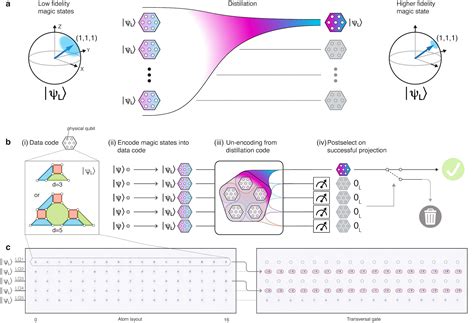 Our Holiday T This Year From Quera Is Magic 🪄 Abs 2412 15165 Experimental