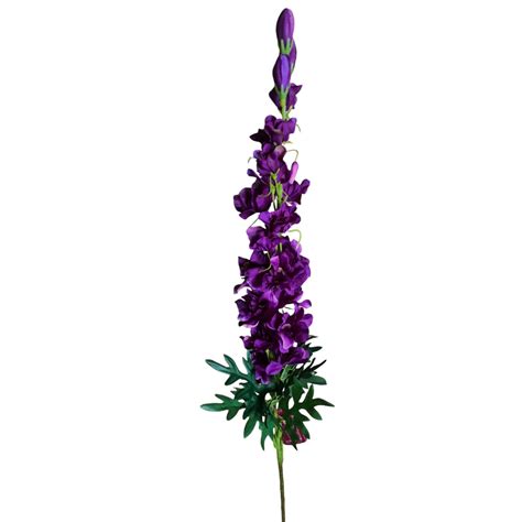 Delphinium Maneli Flor