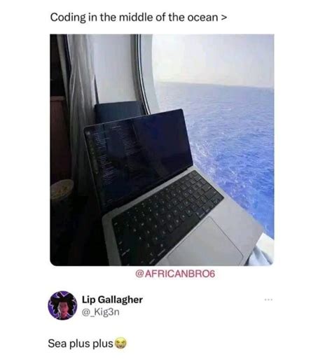 Julz Mccrae Nee Reyneke On Linkedin 🙃