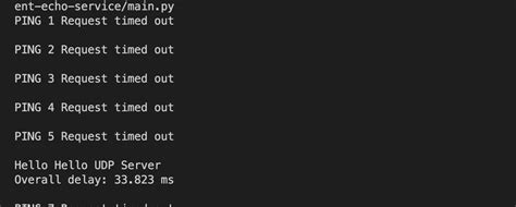 Github Parushapradhanudp Client Echo Service