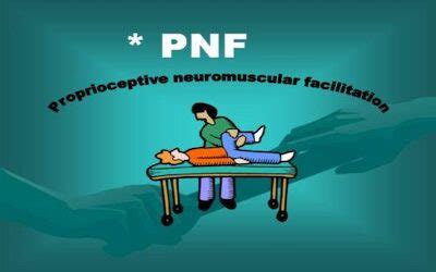 Pnf Header 2 Y HỌc PhỤc HỒi