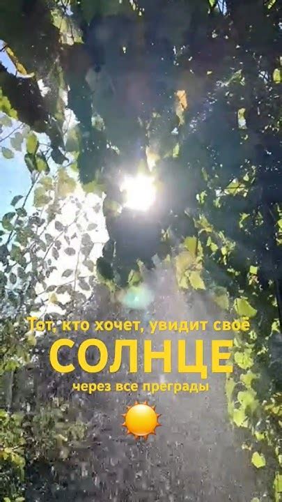 Солнце есть всегда Но люди не всегда могут его видеть Ночью за тучами за слезами и обидами