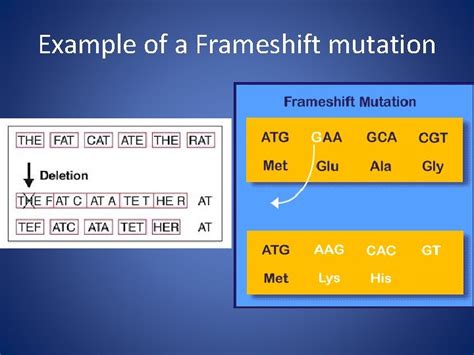 Frameshift Mutation Definition