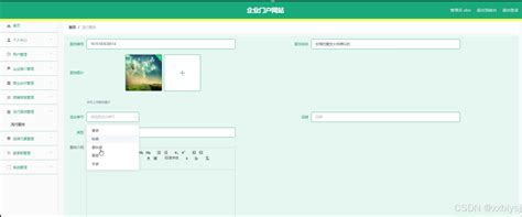 Java毕设项目企业门户网站（javavuemybatismavenmysql） Csdn博客