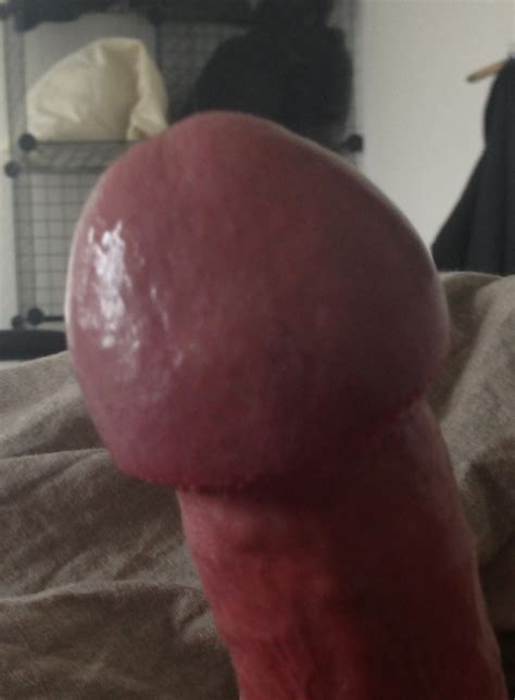 Dicke Eichel Porno Bilder Sex Fotos Xxx Bilder 972122 Pictoa