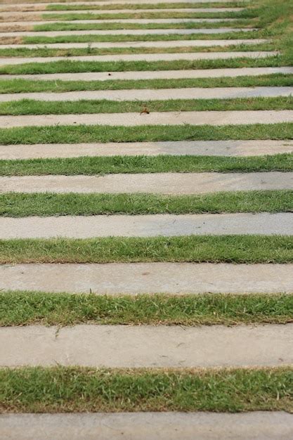 Premium Photo Concrete Path With Grass In The Garden