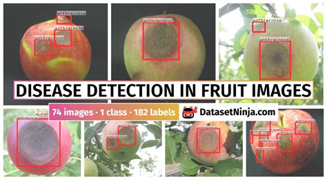 disease detection in fruit images dataset ninja