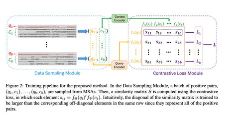 Fastmsa：一种高效的蛋白质多序列比对（msa）方法 知乎