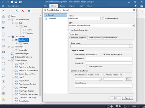 Use Dynamic Connection String In Data Source Activereports Net Edition