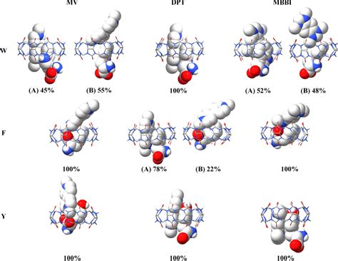 Md Average Structures Of The Ternary Complexes Download Scientific Diagram