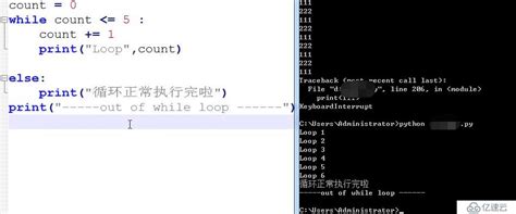 python流程控制 编程语言 亿速云
