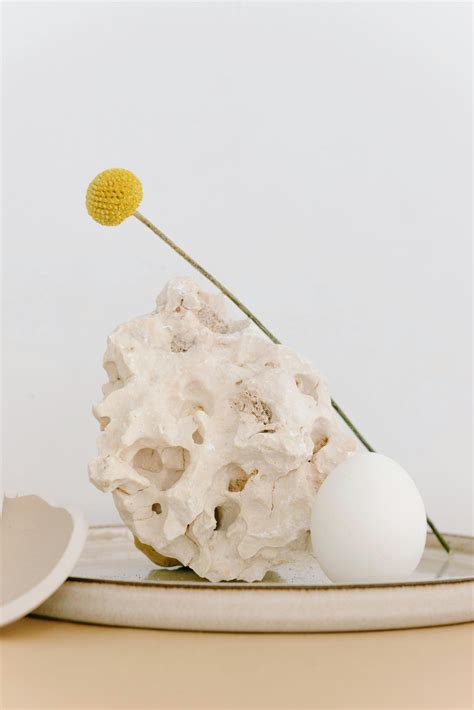 Circular Objects Photos Download The Best Free Circular Objects Stock