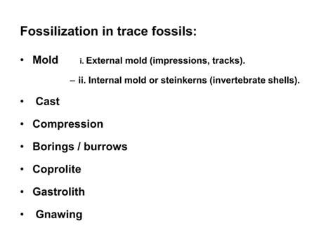 Fossils And Fossilization Ppt Geology Science