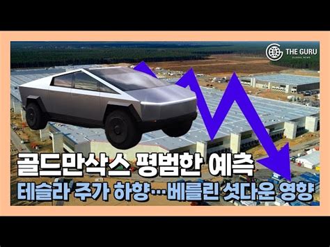 영상 골드만삭스 테슬라 주가 하락 가능성 전망 까닭