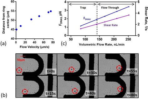 Experimental Validation With Polystyrene Particles A Particle