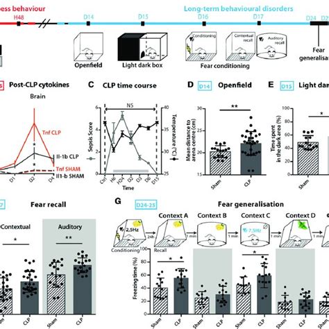 Clp Mice Developed Long Term Anxiety And Ptsd Like Conditioned Fear