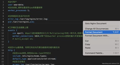 nginx格式化工具 nginxconfig文件要缩进吗 csdn博客