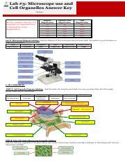 Lab Microscope Use And Cell Organelles TK Pdf Lab Microscope Use And Cell Organelles