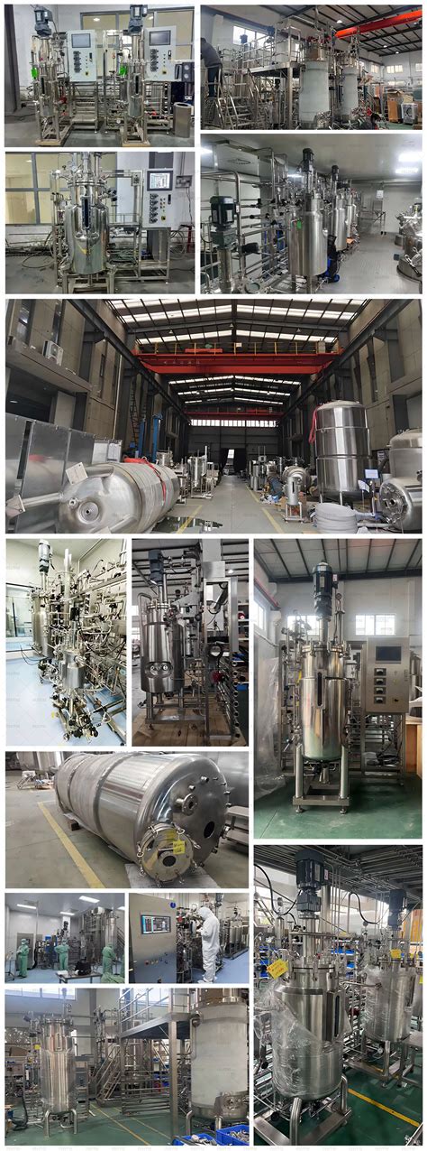Bioreactor Lab Scale Cell Culture Bioreactor Stainless Steel Fermenter Bioreactor