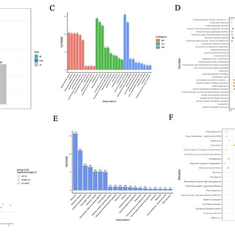 The Sequence Information Of Rna Oligo Download Scientific Diagram