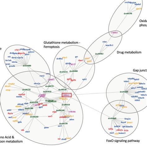 Combined Functional Analysis Of Proteomic And Transcriptomic Data The Download Scientific