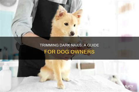 Trimming Dark Nails A Guide For Dog Owners Nailicy