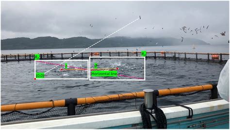 color online visualization of transformation and inverse