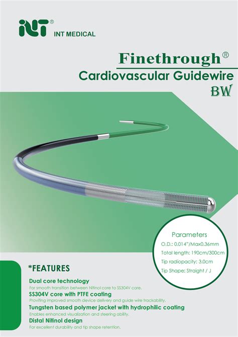Cardiovascular Guidewire BW INT