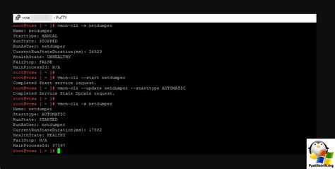 Как скачать и анализировать дамп Esxi Настройка серверов Windows и Linux