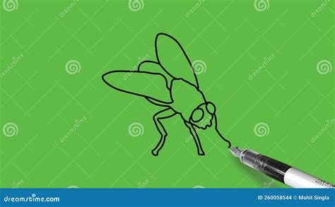 Draw Fly Small Insect With Two Wings In Blue Color Combination With