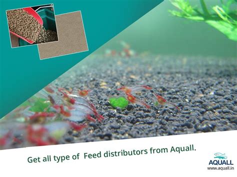 Get The Perfect Solution For Feed Distribution