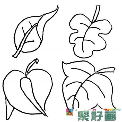 36种树叶的画法简笔画图片怎么画简笔画教程 画好画