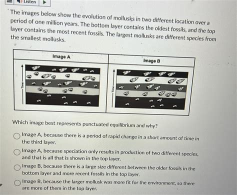Solved Listen The Images Below Show The Evolution Of Mollusks In Two