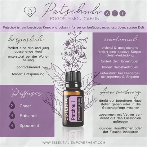 Übersicht Patschuli | Doterra ätherische öle, Ätherische öle ...