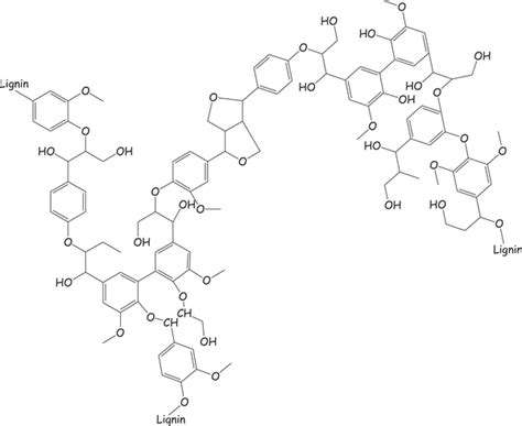 Representative Structure Of Lignin [⁷¹] Adapted From 2018 De Gruyter Download Scientific Diagram