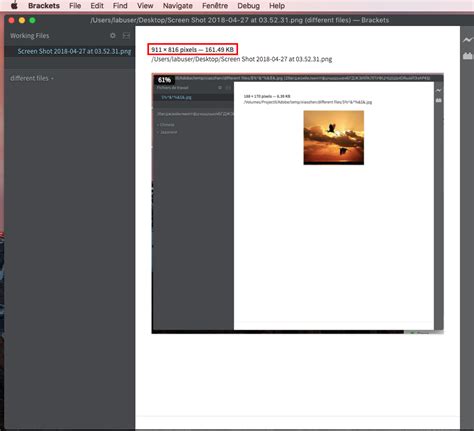 dilato [i18n] epv the image info in brackets is not localized